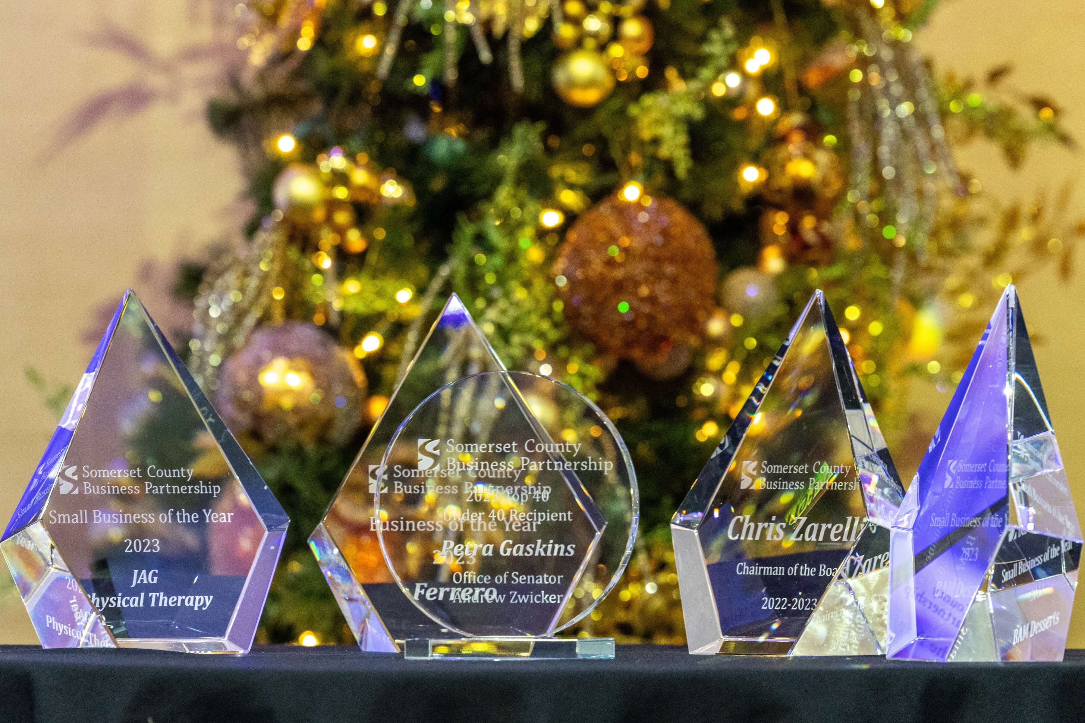 SCBP Awards - Somerset County Business Partnership